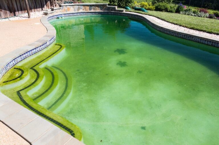 Why Is My Pool Green?